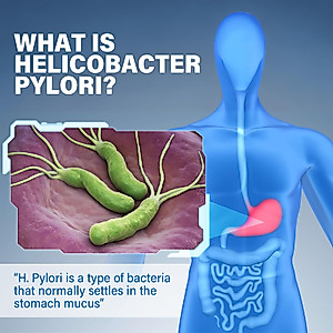 HANASCAR H Pylori Test Kit, Helicobacter Pylori Test Kits at Home, 99.5% Accuracy, Results in 10-15 Minutes, Easy to Use