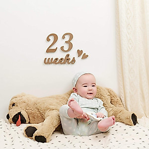 MY LITTLE J Wooden Milestone Newborn Baby Announcement Monthly Sign (1 Set of 25 Markers)