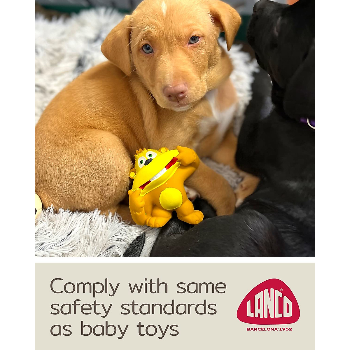 Set 5 Extra Small Squeaky Toys for Dogs Small Breeds Puppy Tiny Dogs Natural Rubber (Latex) Freem from Harmful Chemicals Hanpainted (Toys May Vary)