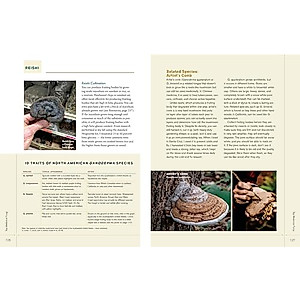 Christopher Hobbs's Medicinal Mushrooms: The Essential Guide: Boost Immunity, Improve Memory, Fight Cancer, Stop Infection, and Expand Your Consciousness