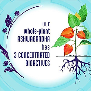 Stressballs, De-Stress + Snooze*, with Melatonin and Ashwagandha to Aid in Sleep and Stress Relief*, Chamomile & Lavender Herbal Blend, Non-Habit Forming Supplement, 46 Gummies