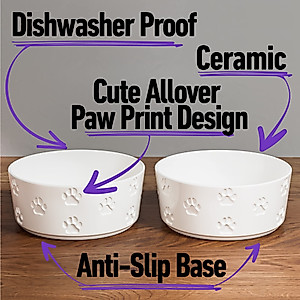 Ceramic Dog Bowl Set of 2 with Anti-Skid Base - 6.5" Wide x 2.5" Tall Ceramic Dog Bowls Medium Sized Dogs - 3 Cup Capacity Food and Water Bowls for Dogs - Rubber Bottom Pet Bowl Set of 2 Medium Size