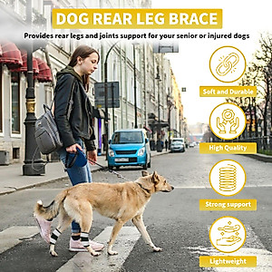 AGON® Dog Rear Brace Pair Hock Joint Brace with Metal Strings and Reflective Wraps Compression Straps Canine Back Leg Protects Wounds. Heals Prevents Injuries Sprains Loss of Stability by Arthritis