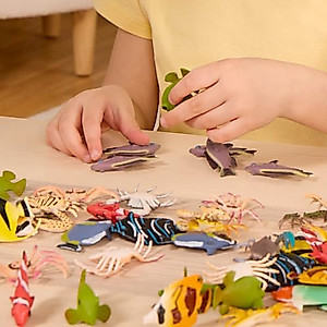 Terra by Battat – Toy Tropical Fish & Crabs – 60 Mini Figures in 12 Realistic Designs – Tropical Sea Animals in Storage Tube – Realistic Figurines for Sensory Bin – Tropical Fish World – 3 Years +