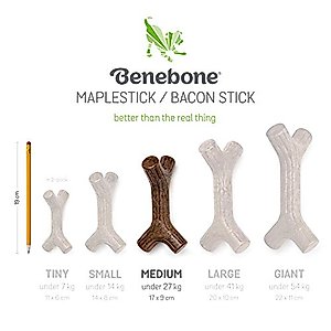 Benebone Maplestick Durable Dog Chew Toy for Aggressive Chewers, Real Maplewood, Made in USA, Medium