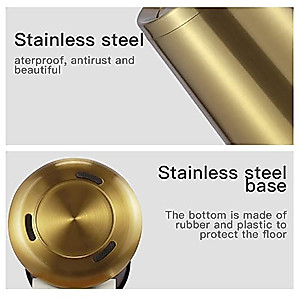 BRIEFHUMAN Household Swing Gold Bathroom Trash Can，Brushed Stainless Steel，10 L/3 Gallen，Garbage Can with Flipping Lid， for Indoor or Commercial Use, Kitchen,Modern，Living Room,Bedroom