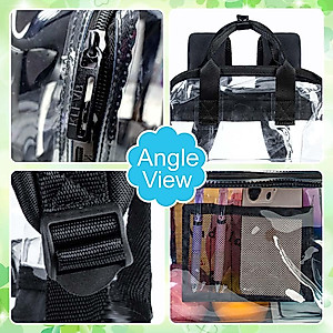 ZLYERT Clear Backpack, Heavy Duty Transparent Bookbag, Large See Through PVC Backpacks for Women and Men - Black