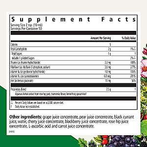 Floradix Floravital Liquid Iron & Vitamins Formula - Liquid Iron Supplement with B Complex Vitamins & Herbs for Energy Support - Vegan, Gluten-Free, Yeast- Free, Non-GMO - 17 oz