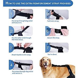 MerryMilo Dog Knee Brace for Hind and Rear Leg, Support for Dog ACL CCL Cruciate Ligament Injury Joint Pain and Muscle Sore, Size XL