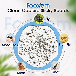 Fooxem Glue Board Refills for Fruit Fly Traps Indoor, Replacement Sticky Boards for Gnats Moths Mosquitos Pest Control, 10 Pack