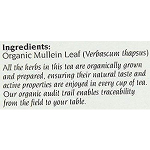 Celebration Herbals Organic Mullein Leaf Tea Caffeine Free - 2 Pack (48 Bags in Total)