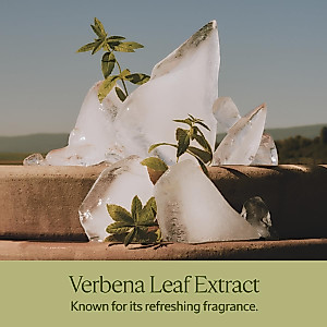 L'OCCITANE Shea Hands &-Body Verbena Liquid Soap: Gently Cleanse Hands & Body, Softening, Citrusy Aroma, Refill Available, 16.9 Fl. Oz