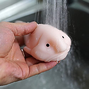 Blobfish Toy, Pull, Stretch and Squeeze Stress, Cute Fish Toy for Anxiety Relief, Funny Cute Sensory Toys for Autism, Birthday, Christmas, Office, Stocking Stuffer Gift