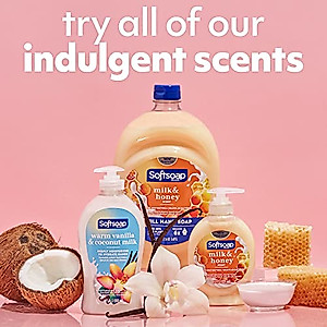 Softsoap Moisturizing Liquid Hand Soap, Milk and Honey, 7.5 Fluid Ounce, Pack of 6 (Package may vary)