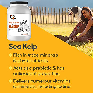Organic Sea Kelp Powder for Dogs (7 Pounds, 3.2 KG), Iodine for Dog, Thyroid Support for Dog & Cat, Norwegian Kelp Dog Powder Supplement by Lots of Love