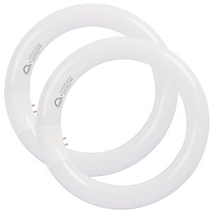 COOGGALAN 8 inch T9 22 Watts Round Light Bulbs FC8T9/DX Circular Fluorescent Light Bulb, FC8T9/DL 22W Circline Bulb, Daylight 6400K, G10q 4 Pin Prong Base, 2 Pack
