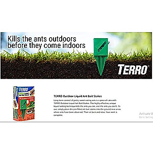 Terro Liquid Ant Bait Boxed 8 / Pack
