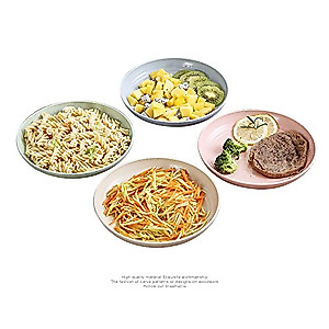 Kota Japan Wheat Straw Fiber Unbreakable Tableware 8.8” Plate for Dinner, Lunch, Breakfast for Pasta, Noodle, Salad, Dessert Dishes - Dishwasher, Microwave, Environment Safe Dinnerware 4 pc Dish Set