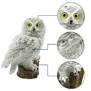 GUAGLL Owl Solar LED Lights,Garden Solar Lights Ground Light Outdoor Decorative with Garden Lawn Decorations Lamp