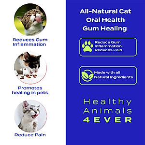 Healthy Animals 4 Ever Oral Health Gum Healing for Cats - Relieves Inflammation, Soothes Pain, Fights Gum Disease - Natural, Non-GMO, Organic - Gluten, Preservative & Chemical Free Supplement - 300 ct