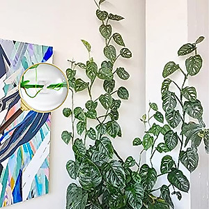 100PCS Invisible Wall Vines Fixing Clips Plant Climbing Holder Fixer Self-Adhesive Fixture Wall Sticky Hook Plant Support Binding Clip Vines Holder