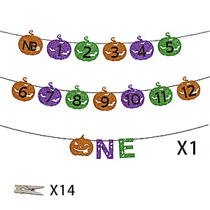 Halloween 1ST Birthday Party Decorations Pumpkin 12 Month Photo Banner for First Birthday Halloween First Birthday Decorations The Spooky One Birthday Decorations