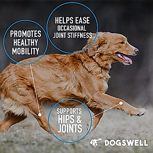 DOGSWELL Hip and Joint Supplement for Dogs - Soft Chews with Glucosamine, Chondroitin, MSM, Boswellia & Turmeric, 1 Pound