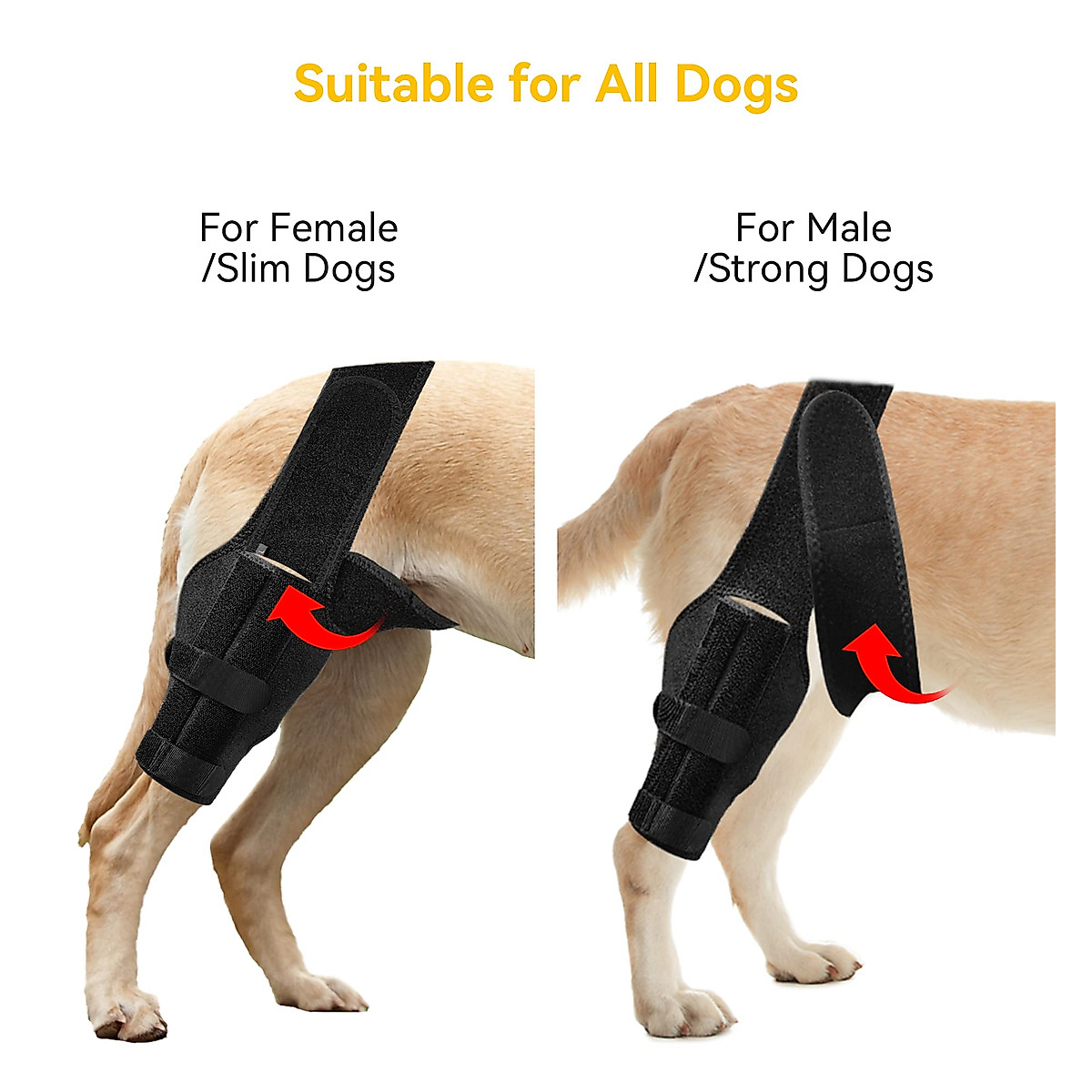 soundfuse Dog Knee Brace, Leg Brace for ACL with Cruciate Ligament Injury, Joint Pain and Muscle Sore, Adjustable Rear Support for Knee Cap Dislocation, Pet Knee Brace Recommended for Big Dog(Size: L)
