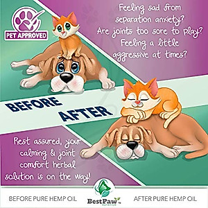 Best Paw Nutrition - Organic Hemp Oil for Dogs and Cats - Joint Pain Relief Arthritis Supplement - Natural Support for Separation Relief - Calming Aid Pets Love - from Canadian Crops - 1oz