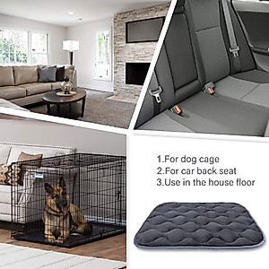 AIPERRO Fluffy Dog Beds for Small Dogs Crate Cushion Mat Machine Washable Anti-Slip Pets Sleeping Pads for Small Medium Large Dogs and Cats, 23 x 18 Inch