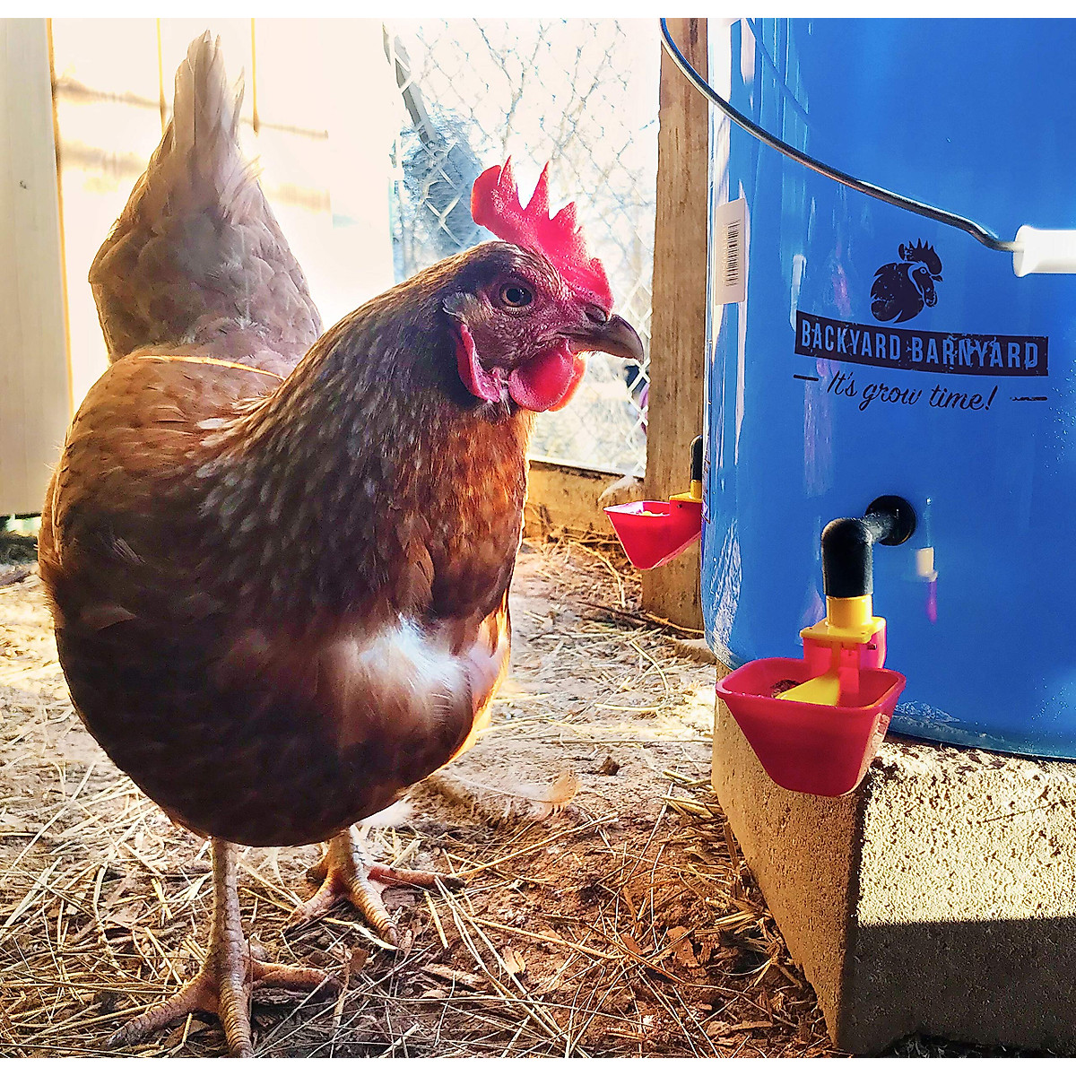 Backyard Barnyard 4 Pack NO PECK Poultry Cup Waterer Drinker for Chicken Ducks Quail (Hardware Included) Chooks Bebederos para Gallinas