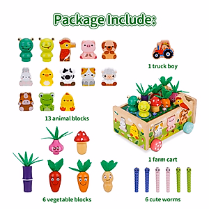 KMTJT Montessori Wooden Toddler Toys for 1 2 3 Years Old Boys Girls, Shape Sorting Toys First Birthday Gifts for 1-2 Years, Wood Animal Farm Car Preschool Educational Fine Motor Skills Toy