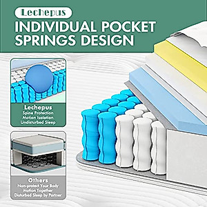 14 Inch Full Size Mattress, Lechepus Memory Foam Hybrid Mattresses with Individual Pocket Spring, Plush Breathable Comfortable Mattress for Cool Sleep & Pressure Relief Certified