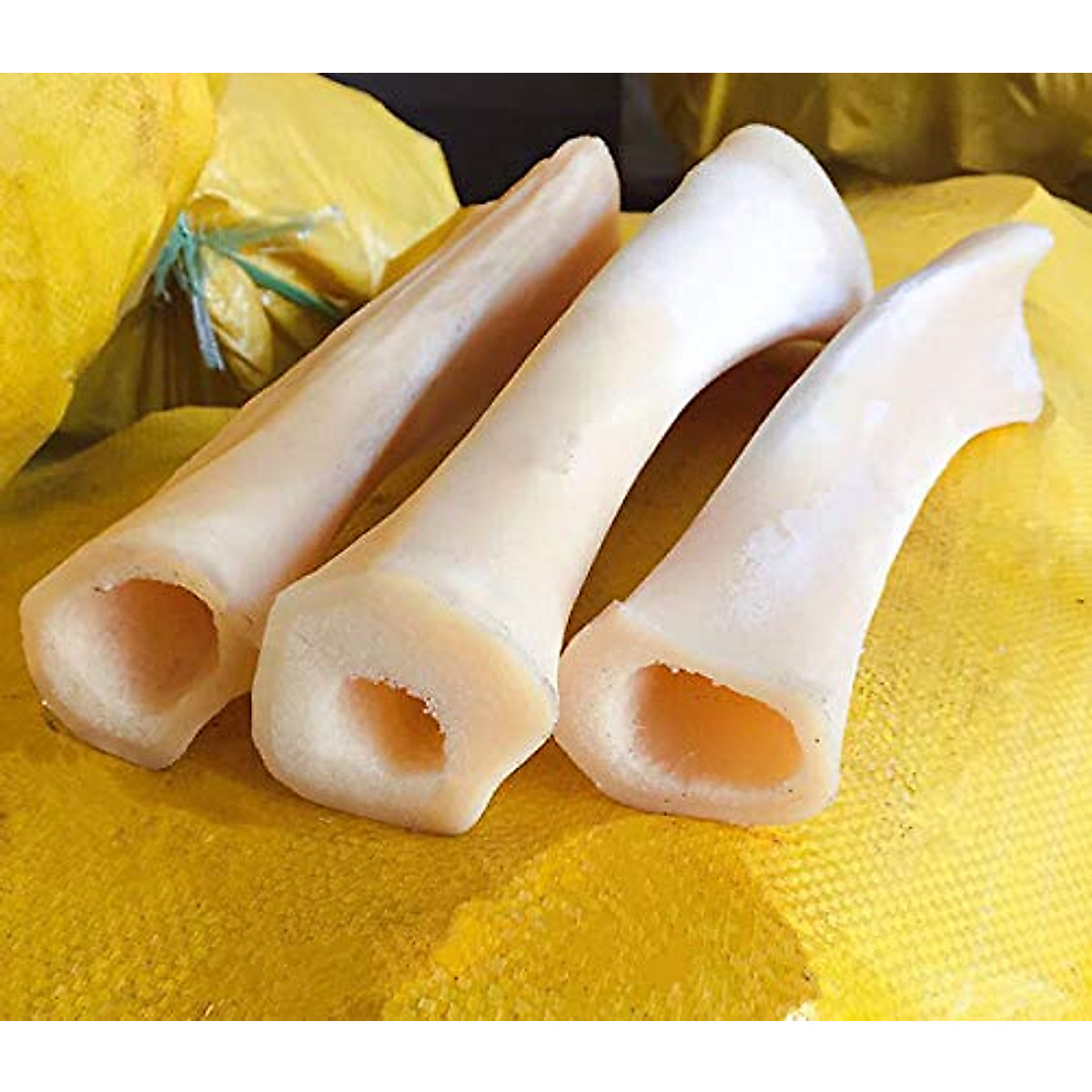 Vencetmat 6Pcs Unbleached Blank & Uncut Guitar Nut Pure Bone for Electric & Acoustic & Classical & Cigar Guitar, Mandolin, Banjo, Ukulele Part DIY