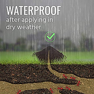 Terro T702 Fire Ant Killer-2 lb, White