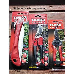 TABOR TOOLS K77A Straight Pruning Shears with Stainless Steel Blades, Florist Scissors, Multi-Tasking Garden Snips for Arranging Flowers, Trimming Plants, Harvesting Herbs, Fruits or Vegetables.