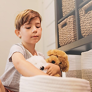 Fluffuns Golden Retriever Stuffed Dog - 9 inches - Cute, 3 Pack Set of Puppy Plush Toy Animals (Brown, Golden, White) Great Gift & Adorable Toy