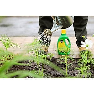 Quick Start - Planting and Transplant Solution 4-12-4, 1.42 L