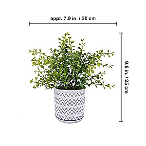 Winlyn 2 Pack Small Potted Eucalyptus Plant Artificial Plants Green Boxwood Rosemary Greenery in Modern Concrete Plant Pots