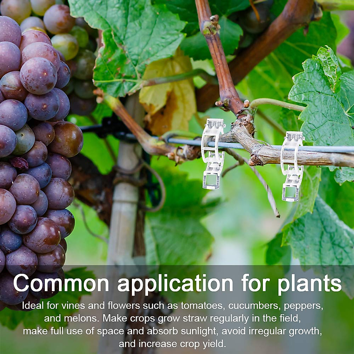 200PCS Plant Support Garden Clips, Vegetable Tomato Supports Trellis Clip Tape for Climbing Crop Vine Twine String Cage Ties Stakes, Grow Strawberry Rose Grape Cucumber Orchid Pea Pothos Melon Tree