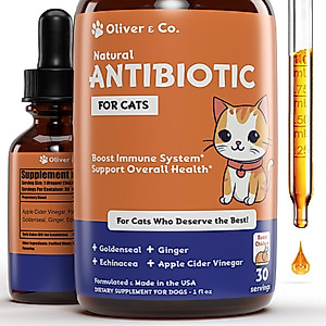 Natural Antibiotics for Cats - Cat Antibiotics - Cat Antibiotic - Pet Antibiotics - Cat Immune Support - Antibiotic for Cats - Cat Multivitamin - Cat UTI Antibiotics - 1 fl oz - Chicken Flavor