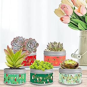 Christmas Scented Candles Gift Set, 12 PCS 2.5oz Aromatherapy Candles Gifts for Women Soy Wax Candles Gift for mom Portable Travel Tin Jar Candles for Birthday, Thanksgiving, Mother's Day