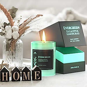 Evergreen Lemongrass & Eucalyptus Candle, Scented Candle for [Anxiety and Stress Relief] 60H Burning Time, Natural Soy Candle Infused with Essential Oils, Aromatherapy Candle 8.81 Oz