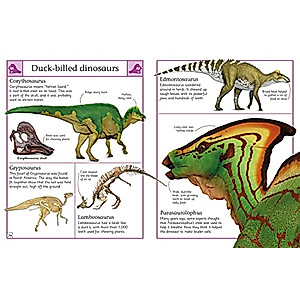 The Big Book of Dinosaurs (DK Big Books)