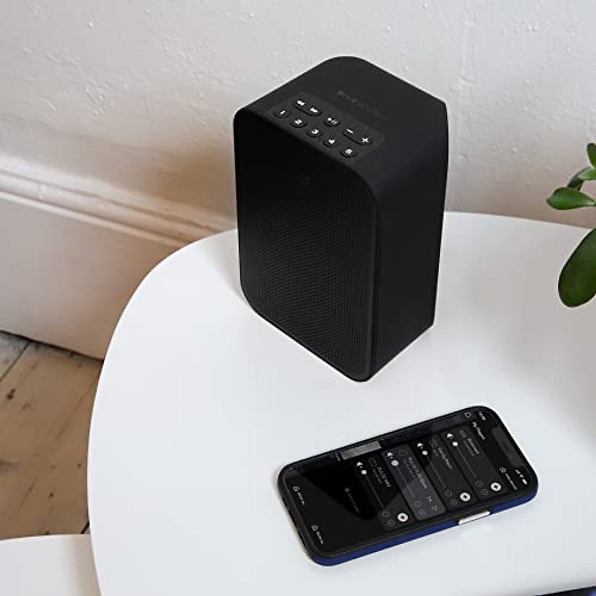 Bluesound Pulse Flex 2i Portable Wireless Multi-Room Smart Speaker with Bluetooth - Black - Compatible with Alexa and Siri