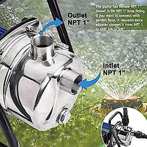 FLUENTPOWER 1 HP Portable Stainless Steel Sprinkler Booster Pump, Electric Shallow Well Pressure Pump for Home Garden Lawn Irrigation and Water Transfer, 13 ft Intake Hose with check valve included