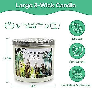 3 Wick Scented Candles Gifts for Women, 3 Pack 13.4 Oz Large Candles for Home Scented, Soy Wax Long Lasting in Total 225 Hours Jar Candles for Birthday, Mother's Day, Anniversary, Thanksgiving