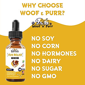 Natural Itch Relief for Dogs - Dog Itch Relief - Helps to Naturally Reduce Itching, Scratching, & More - Allergy Relief for Dogs Itching - Dog Itching Skin Relief - 1 fl oz - Bacon Flavor