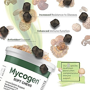 Mycogen for Dogs - Vitamins with 8 Types of Mushrooms - Support Immune System - 60 Soft Chews