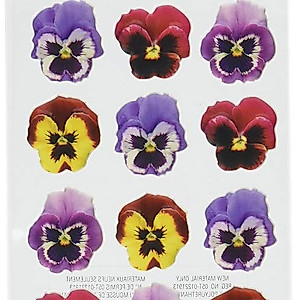 Paper House Productions STP-0058E Pansies Stickers, Puffy (3-Pack)